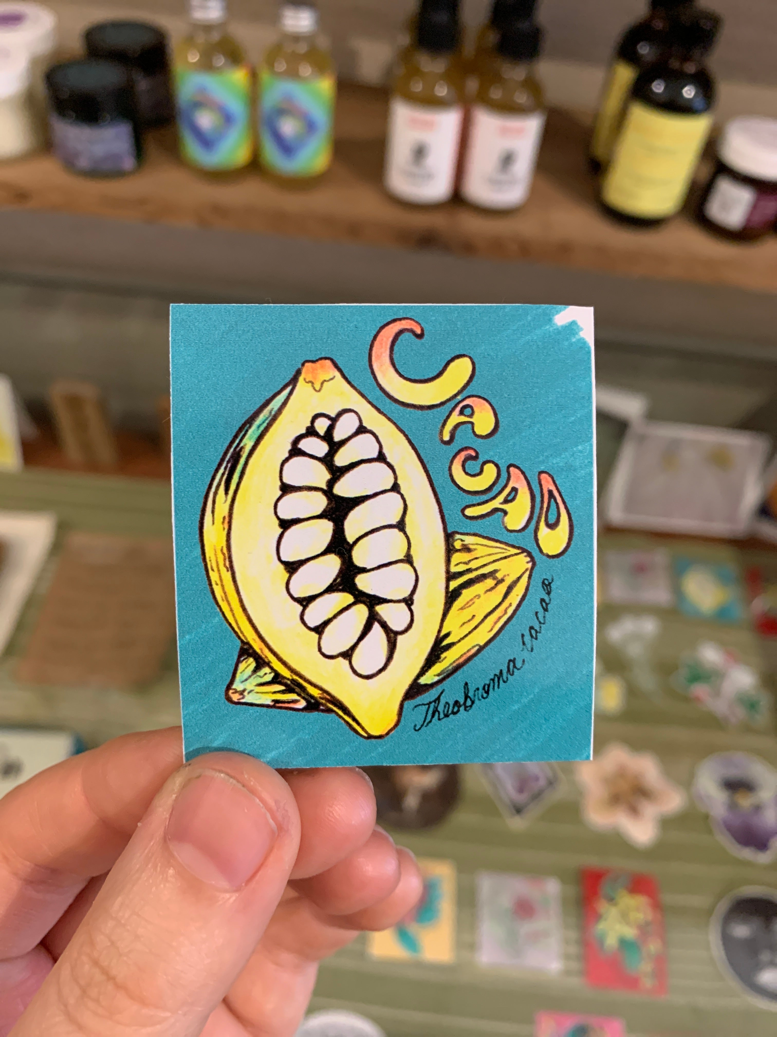 Cacao Sticker | Green Muse Herbs