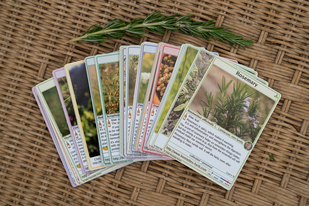 the shop | Green Muse Herbs